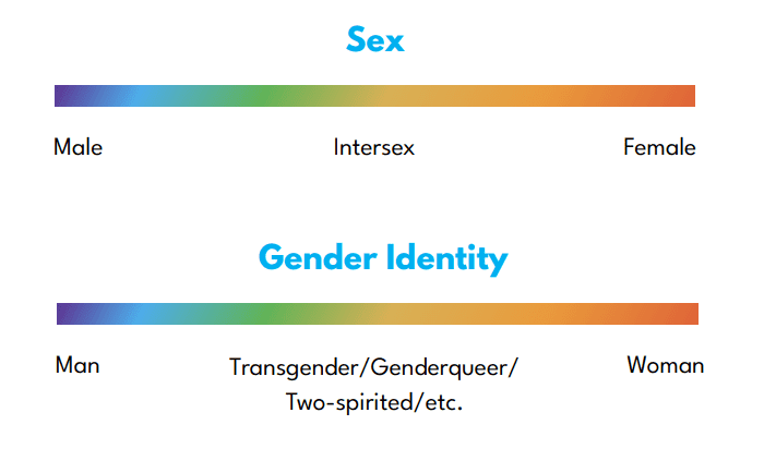 Understanding the Gender Spectrum - CCM Blog